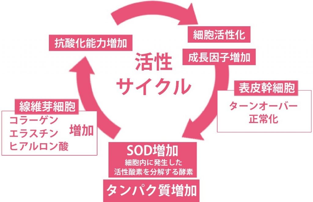 SAIBOW MASK - 株式会社ウルア